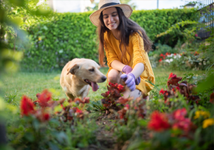 The top 12 most poisonous plants for pets | Blythwood Vets